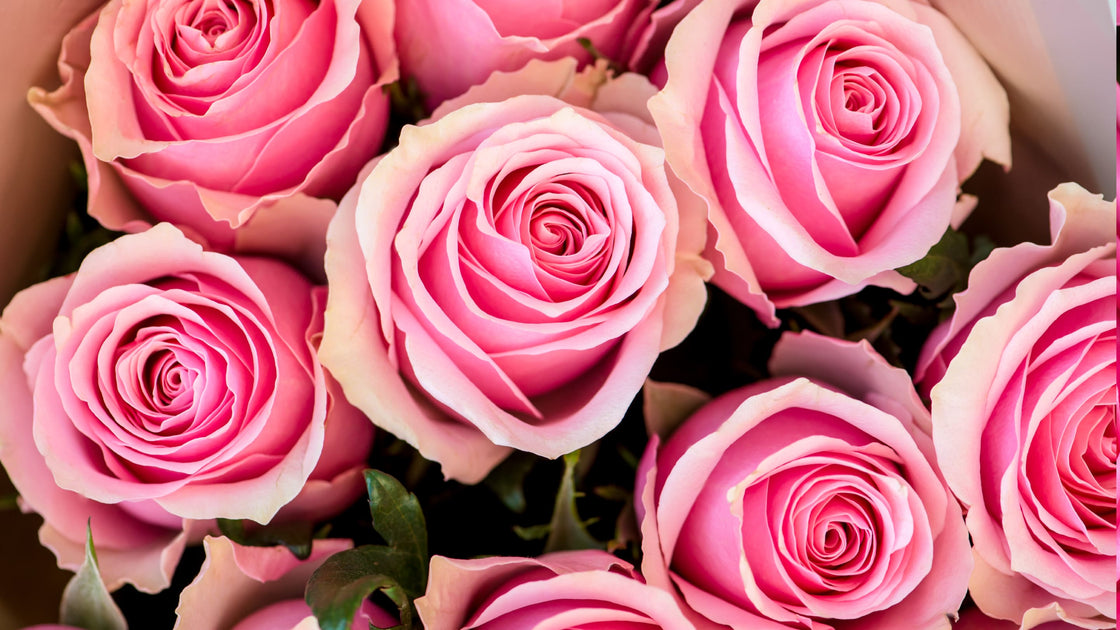Shop Pink Roses at Florist Fresh by RJ Carbone • Wholesale Floral ...