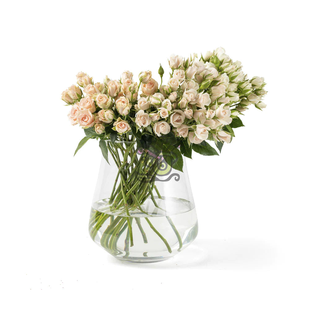 Spray Roses | Florist Fresh by RJ Carbone • Wholesale Floral Distributors